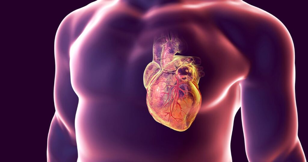 Ισχαιμική Μυοκαρδιοπάθεια Συμπτώματα & Θεραπεία | Dr. Taleb